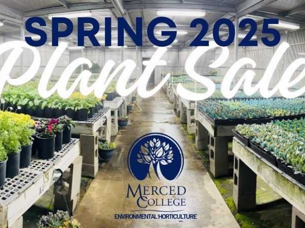 Merced College Annual Plant Sale | UC Agriculture and Natural Resources
