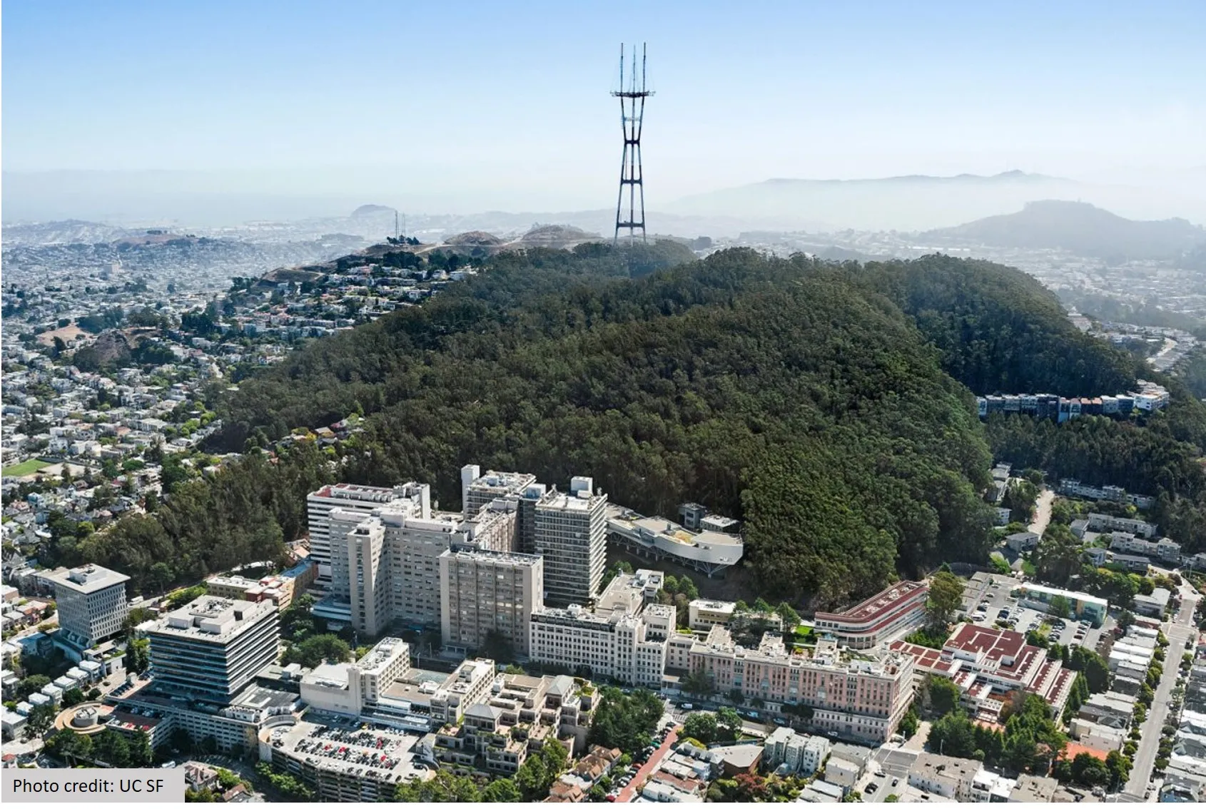 Mount Sutro - Vegetation Management Plan | Igor's Urban Website!