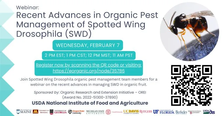 Recent Advances in Organic Pest Management of Spotted-wing Drosophila ...