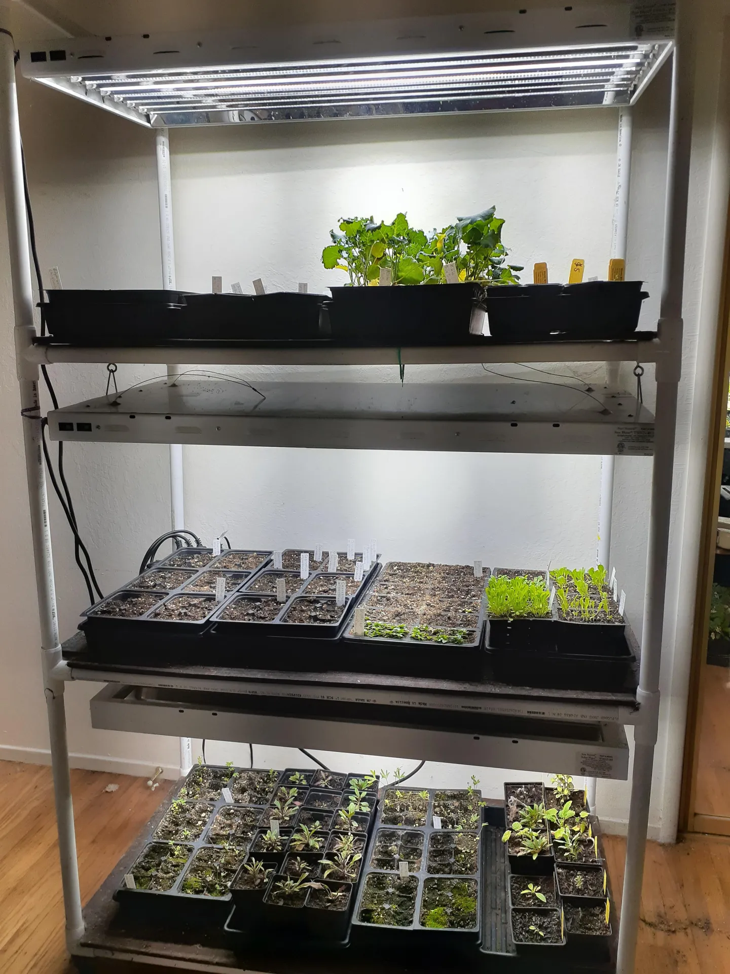 MCP How to Build a Light Rack for Plants - San Jose | Integrated Web ...