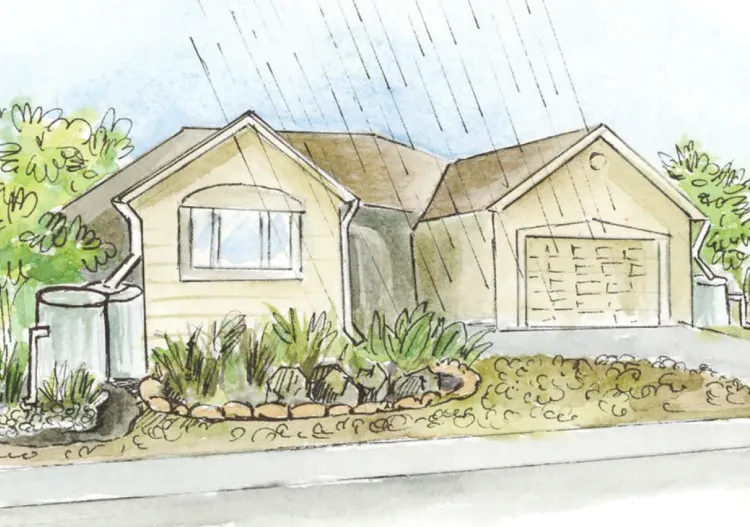 Planting the Rain: A Guide for Passive Rainwater Harvesting | UC Master ...