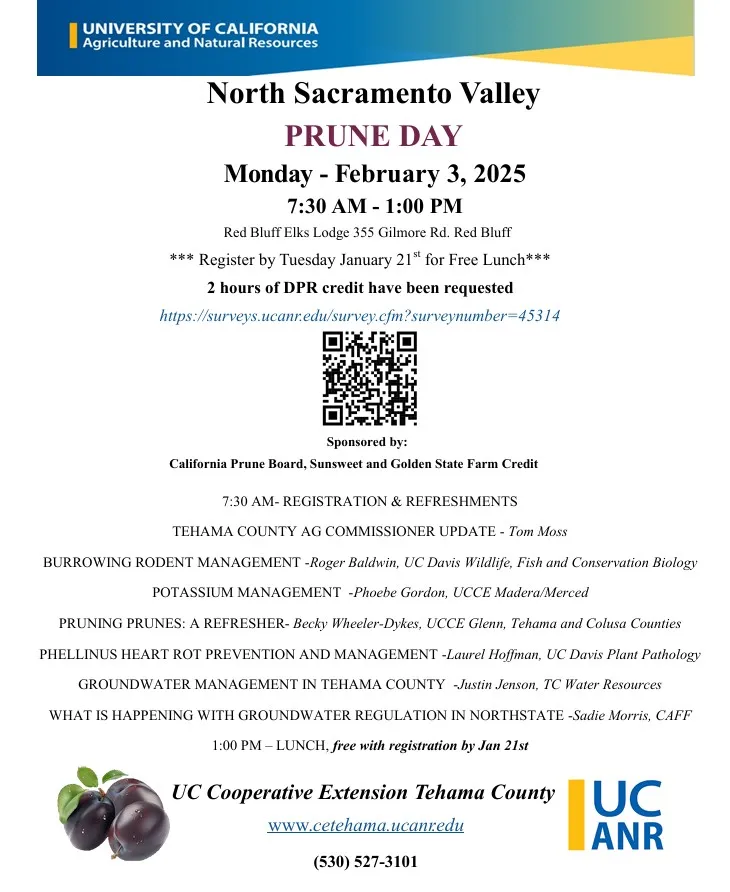 Prune Day | UC Agriculture and Natural Resources