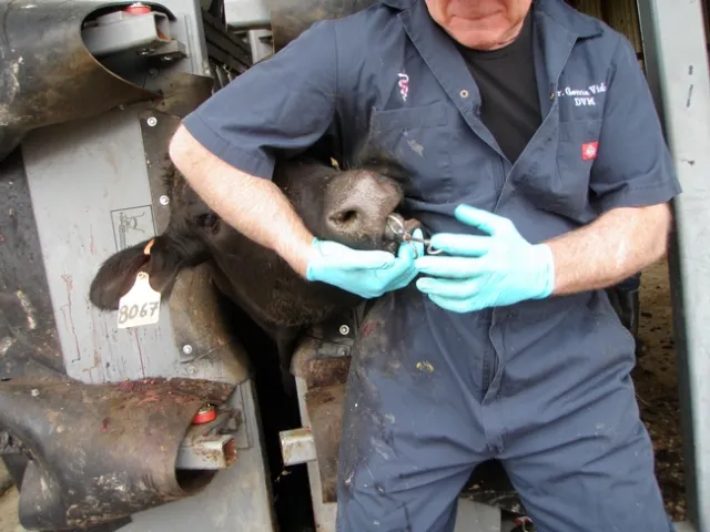 Selenium Deficiency and White Muscle Disease in California Beef Cattle ...