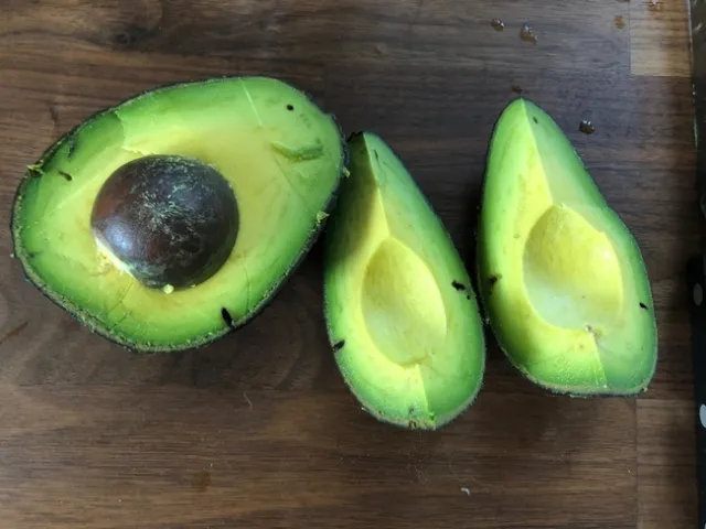 Avocado Seed Weevil | UC Agriculture and Natural Resources