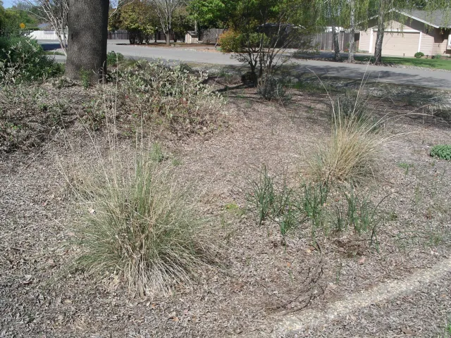 Meeting Nature Halfway: Sustainable Gardening | The Real Dirt