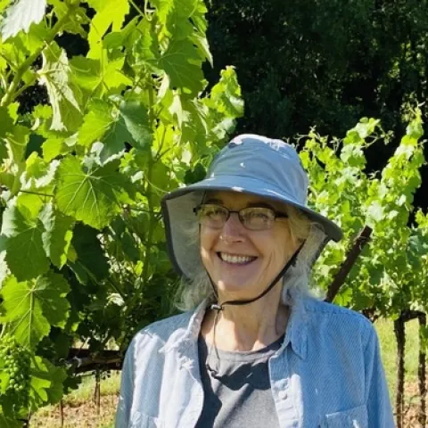 NCPN Grapes