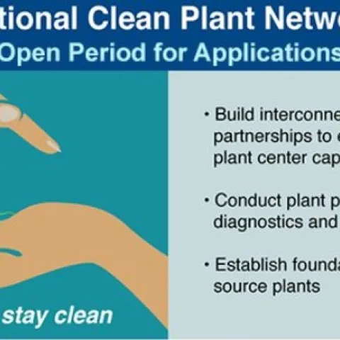 National Clean Plant Network