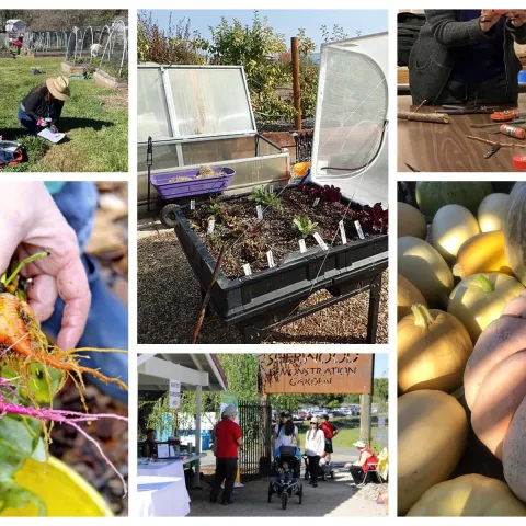 UC Master Gardener Programs | UC Master Gardener Program