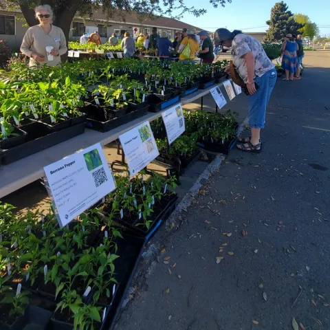 UC Master Gardener Programs | UC Master Gardener Program