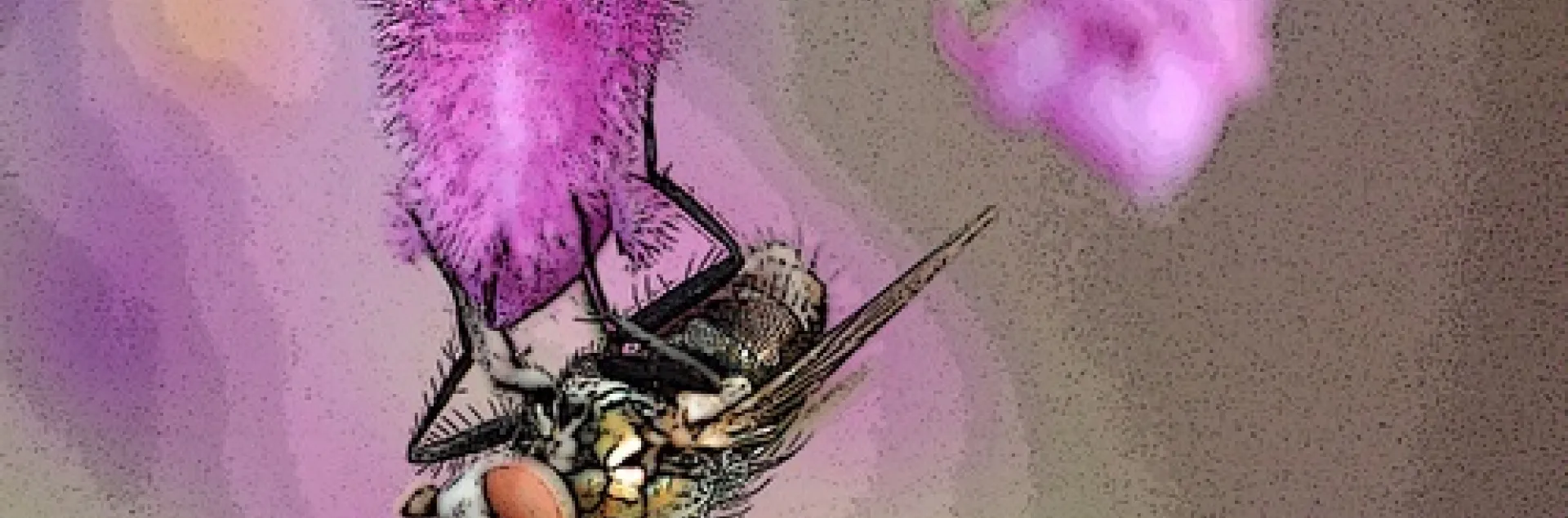 Fly Away | UC Agriculture and Natural Resources