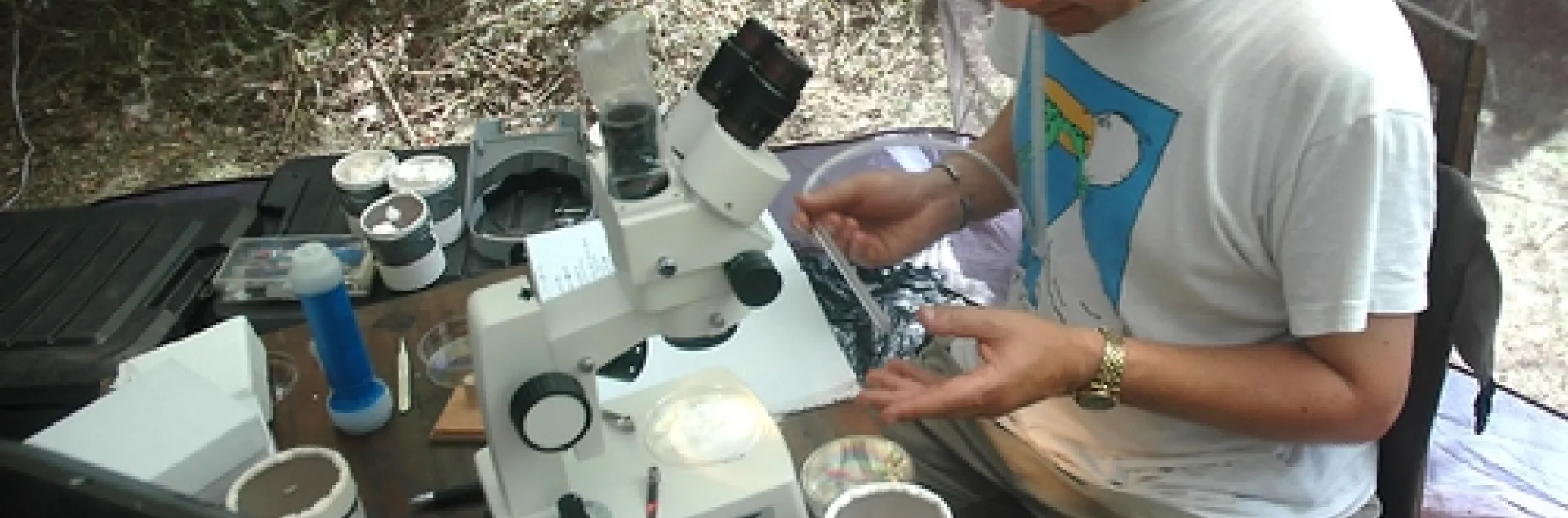 The Mosquito Researchers | UC Agriculture and Natural Resources