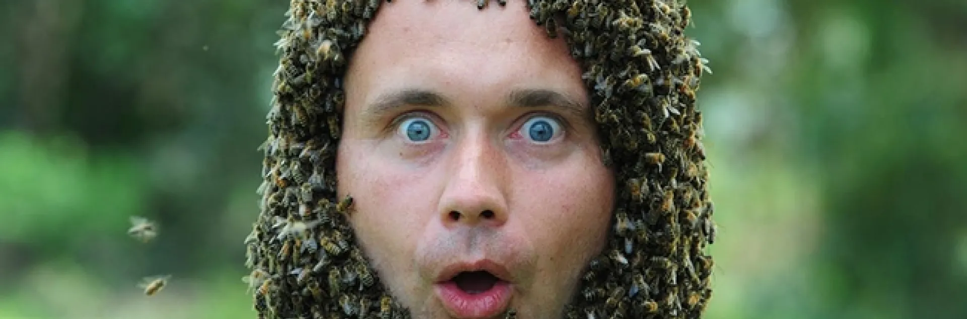 A Bee Beard Like No Other | UC Agriculture and Natural Resources