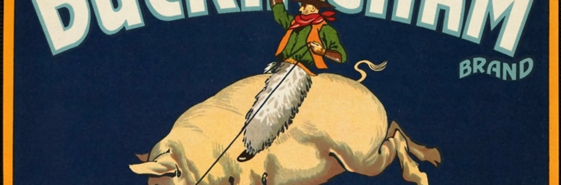 Solano County's Gold Rush | UC Agriculture and Natural Resources