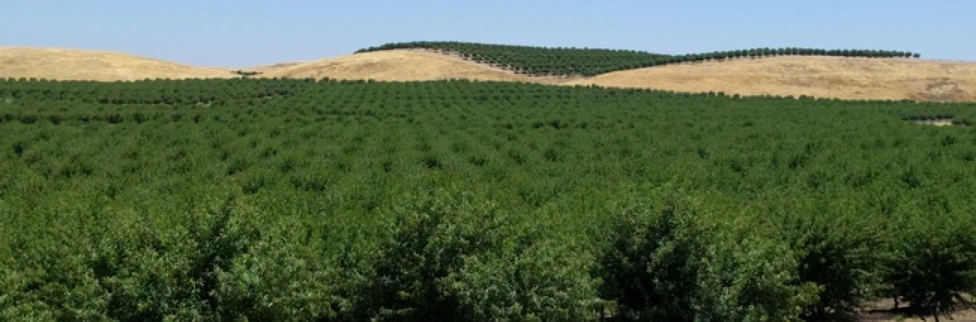 CalLands maps cropland ownership across California | UC Agriculture and ...