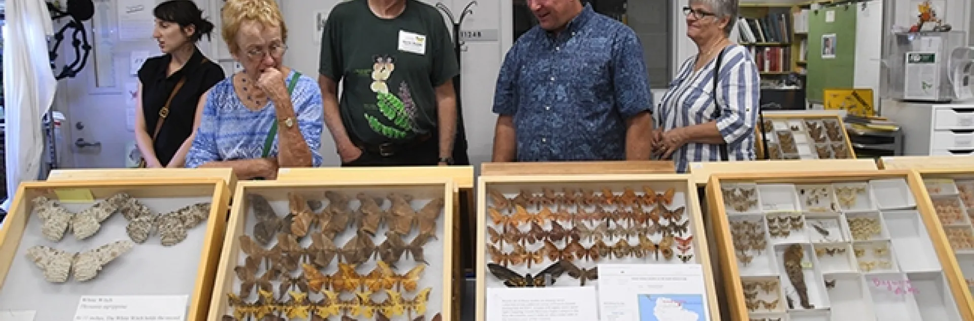 Bohart Museum of Entomology: One Busy Place! | UC Agriculture and ...
