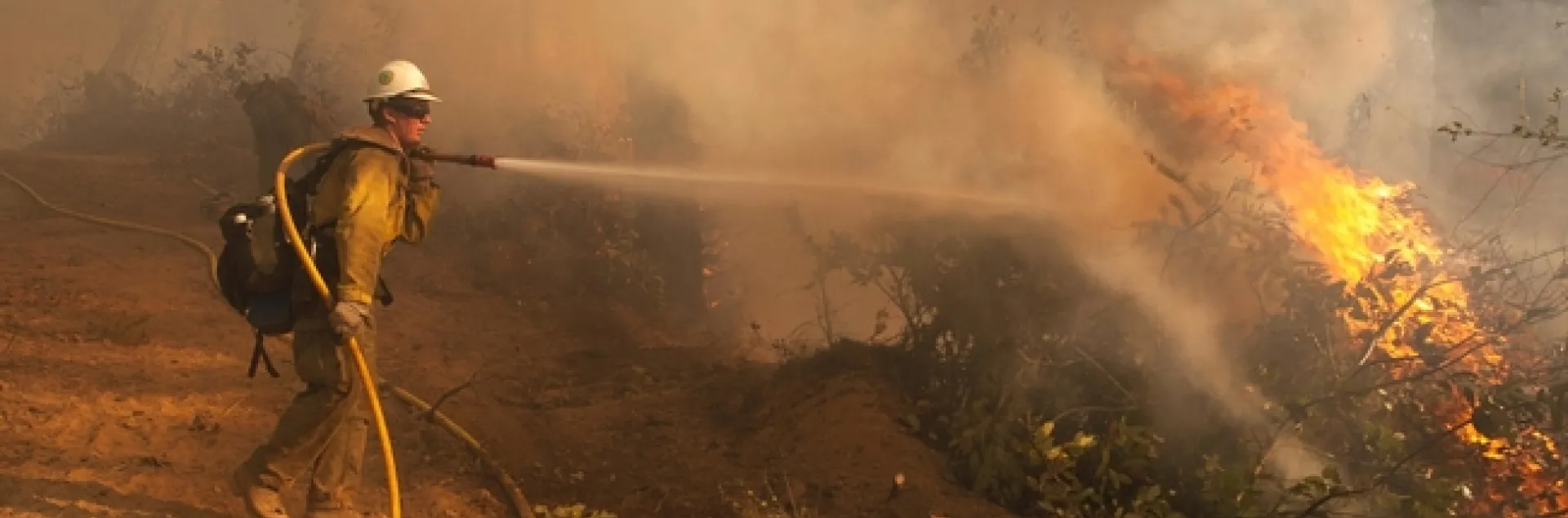 Plant spacing and maintenance are critical in the defensible landscape ...