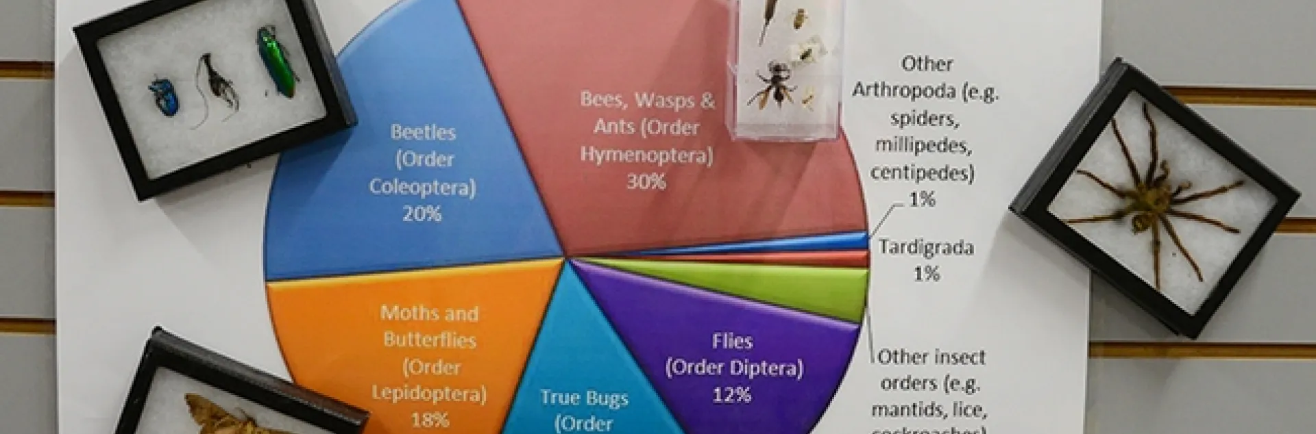 What's in Store for Unattended Children at the Bohart Museum of ...