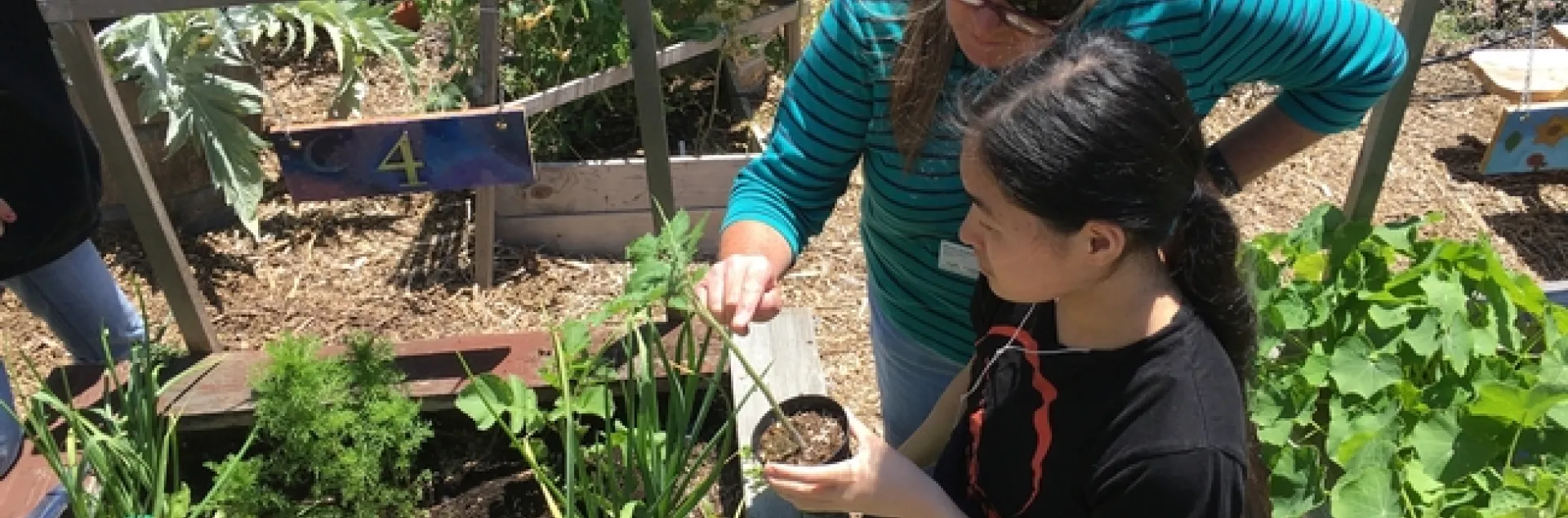 Become a Master Gardener Volunteer | UC Agriculture and Natural Resources