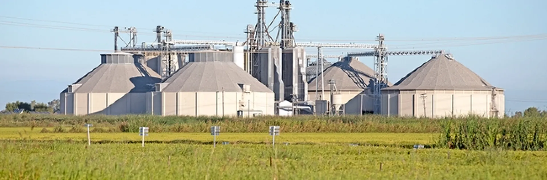 Rice Sustainability Webinars - First One Next Week | UC Agriculture and ...