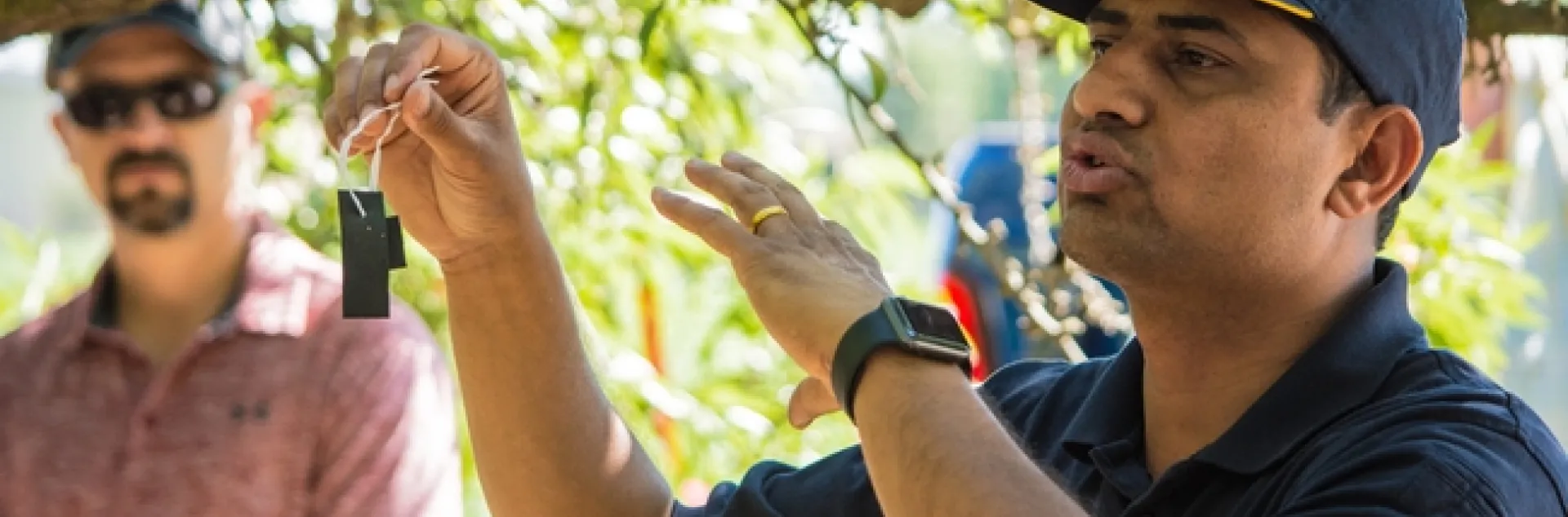 UC ANR is improving California life with science-based solutions | UC ...