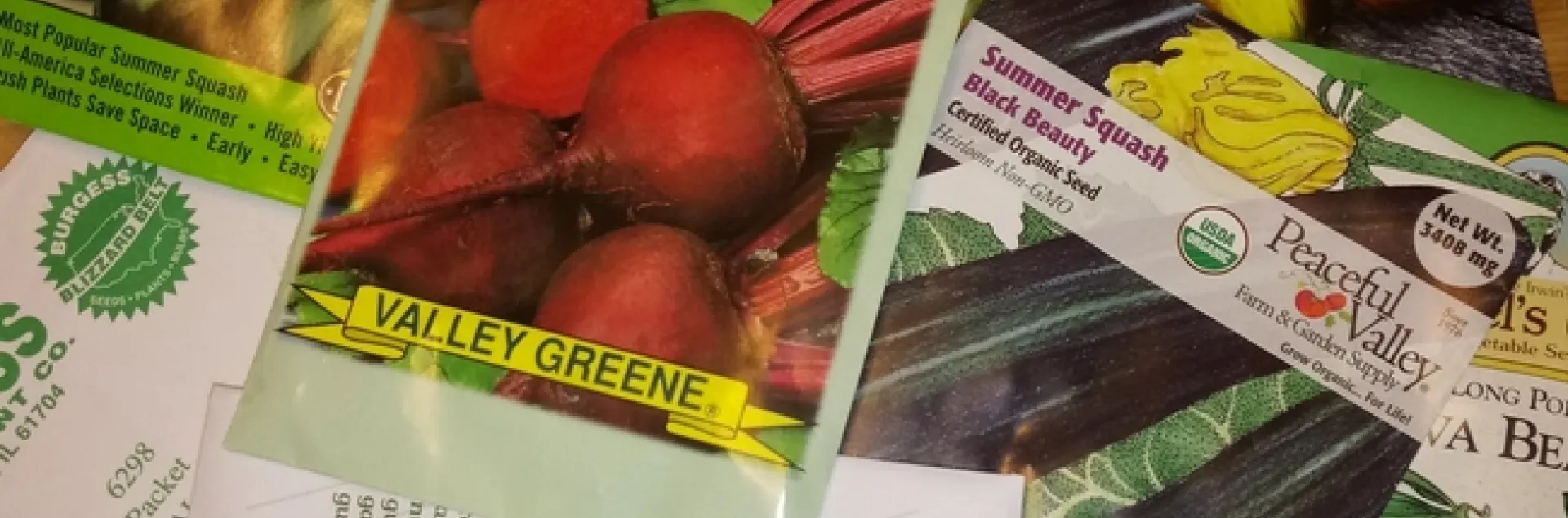 Vegetable Seed Viability | UC Agriculture and Natural Resources