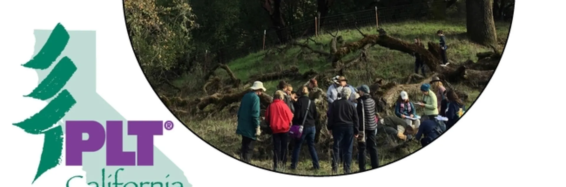Registration Open for CalNat and HREC-Led Project Learning Tree Educator Workshop | UC ...