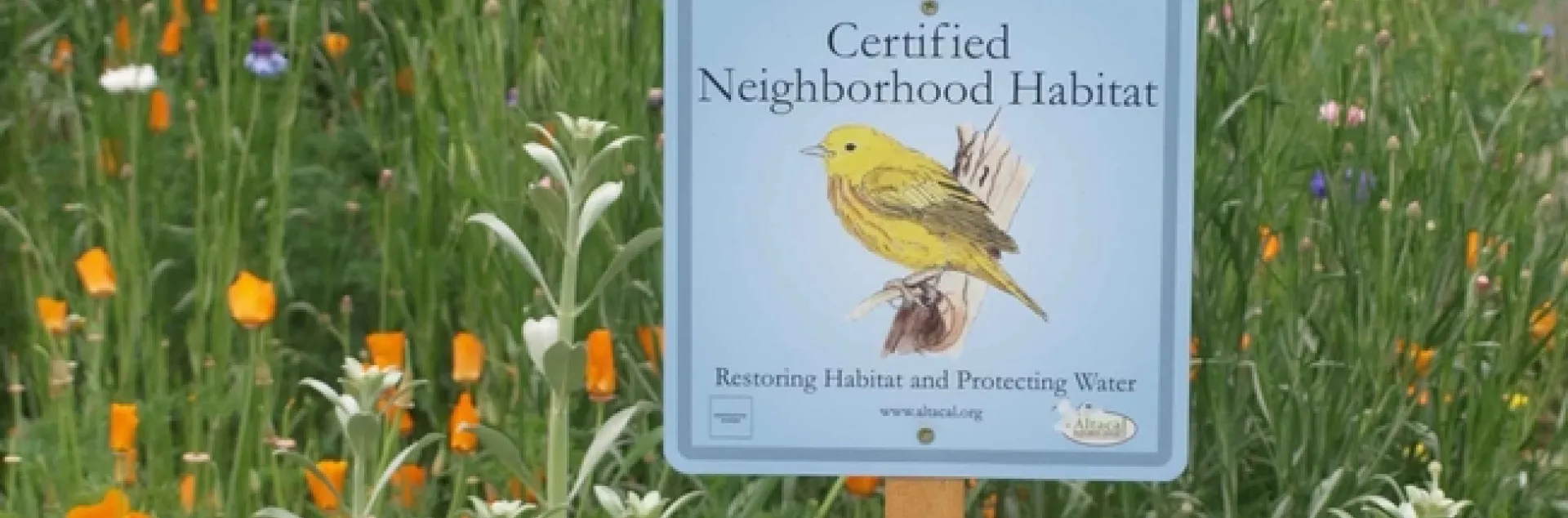 Every Yard Counts – Altacal Audubon’s Neighborhood Habitat ...