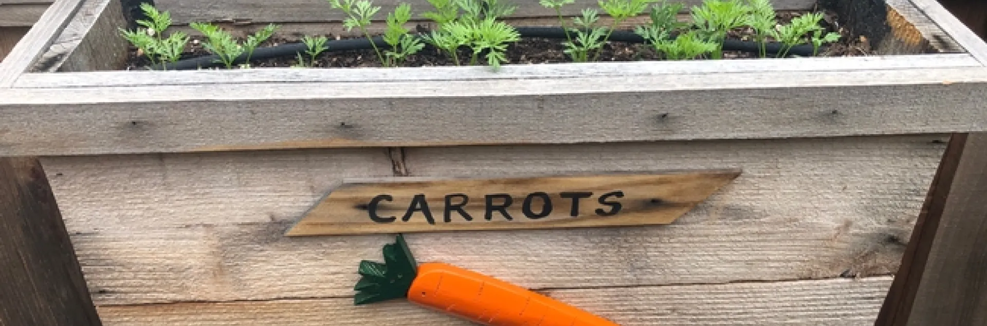 Vegetable Planter Boxes | UC Agriculture and Natural Resources