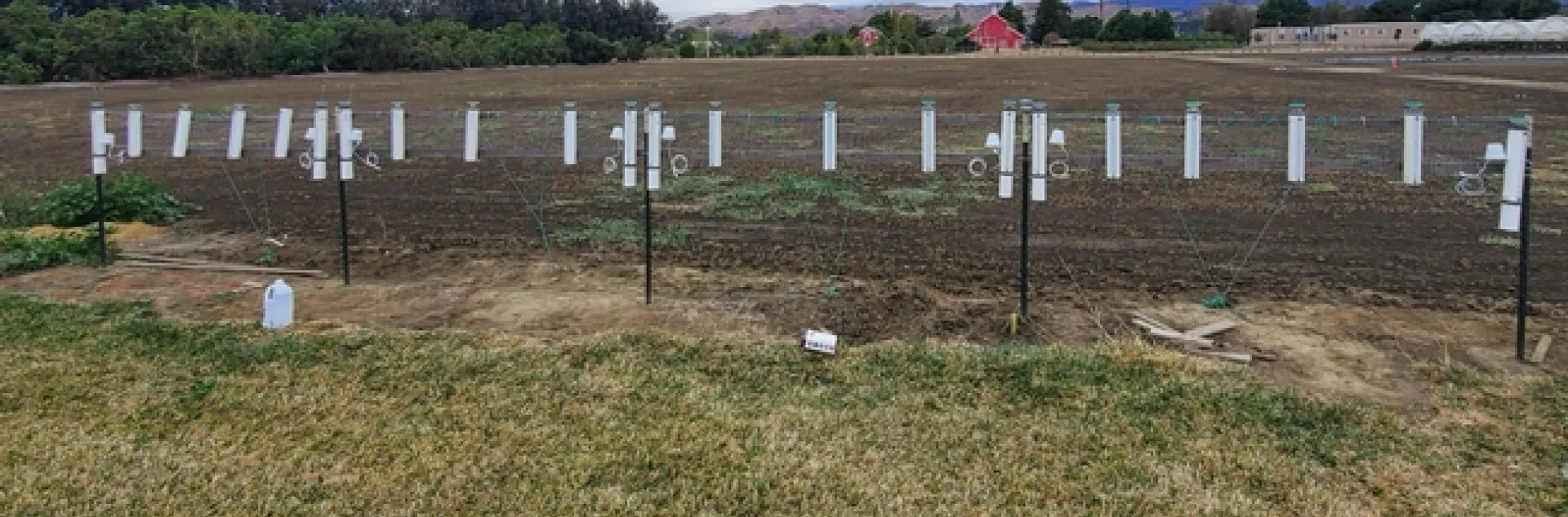 Atmometer Study | UC Agriculture and Natural Resources