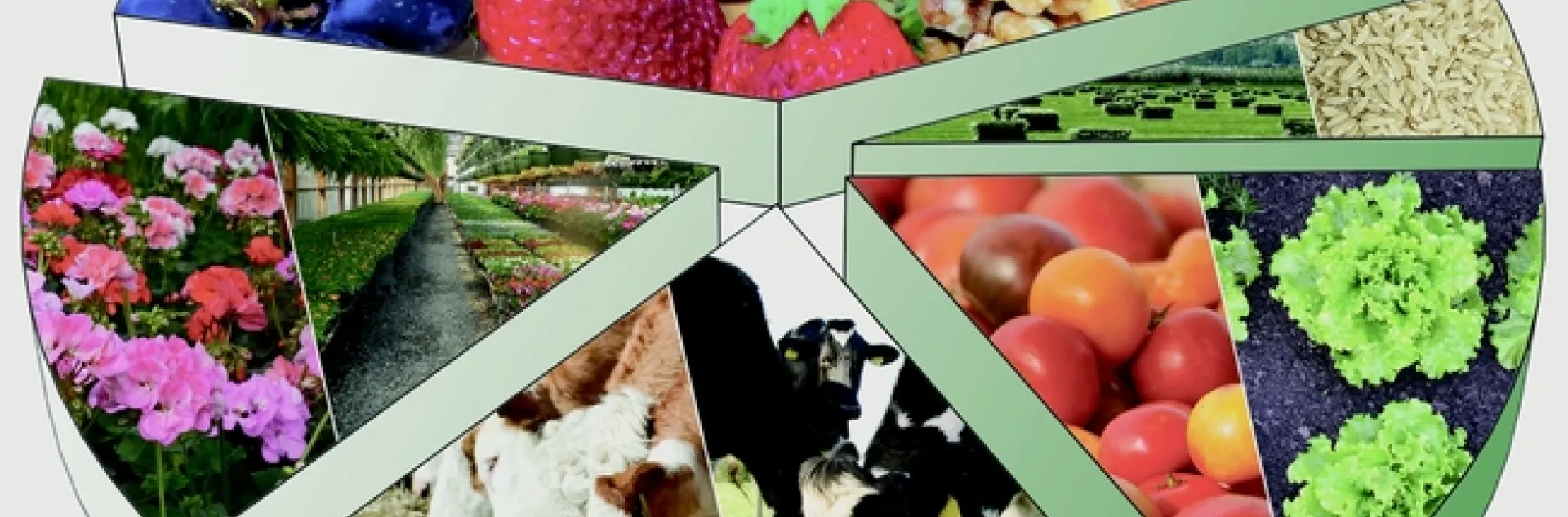 How has coronavirus pandemic impacted California food, agriculture and ...