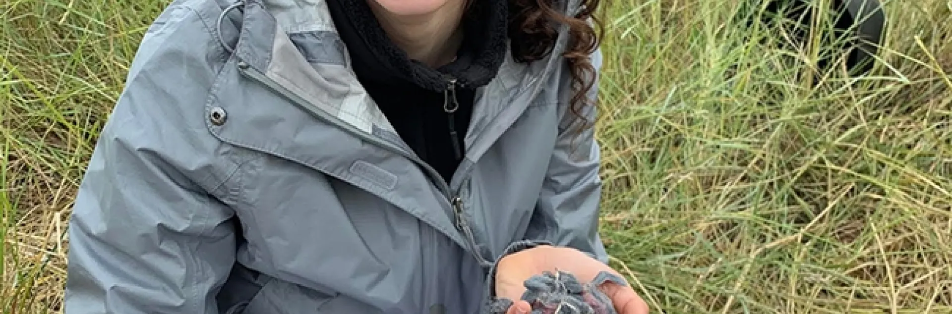 Ecologist Naomi Murray of the Rick Karban Lab: Goldwater Scholar | UC ...