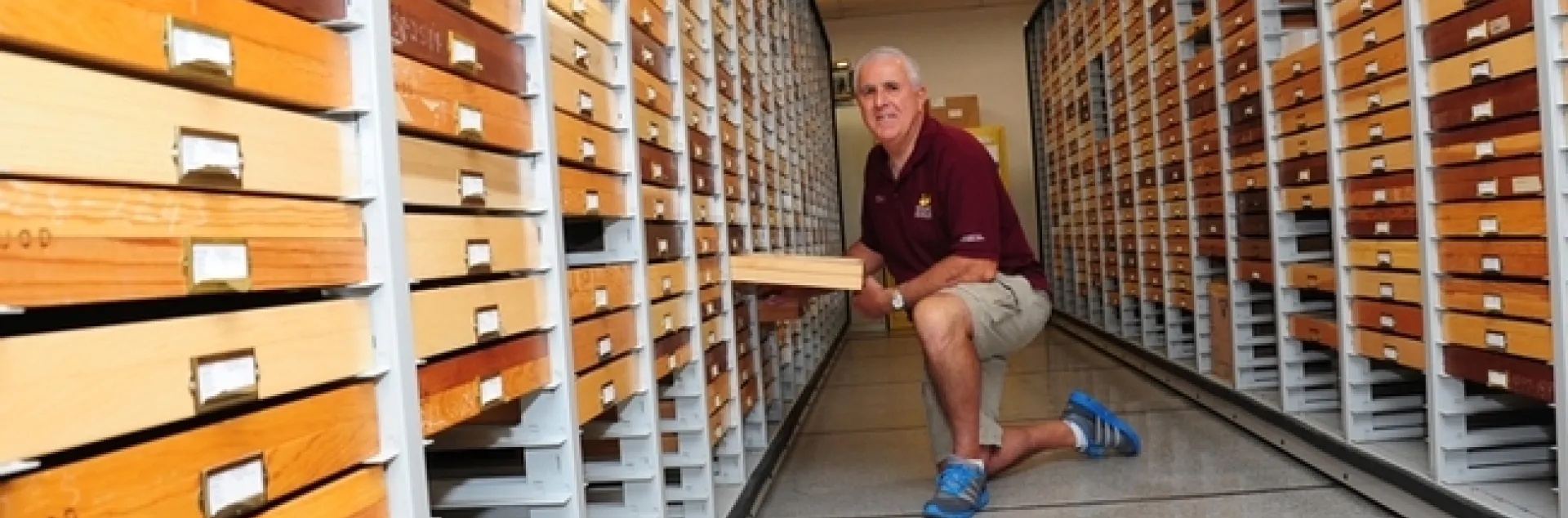 Bohart Museum Sets 'Virtual Moth Open House Night' | UC Agriculture and ...