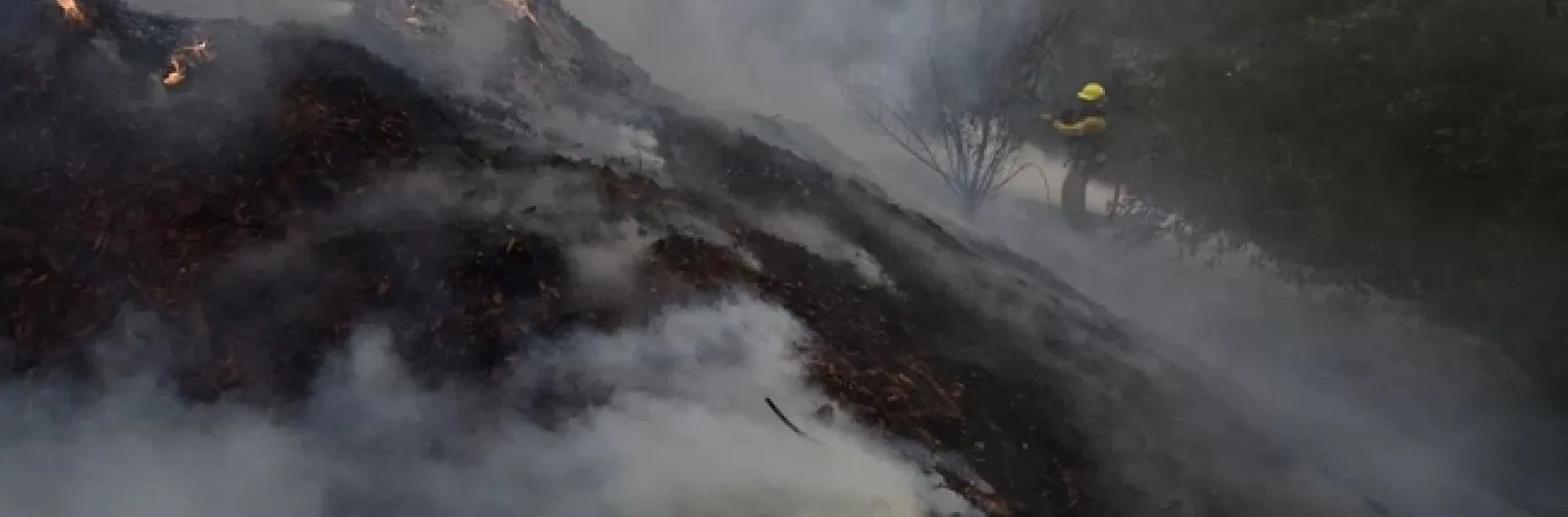 Fire Affected Produce | UC Agriculture and Natural Resources
