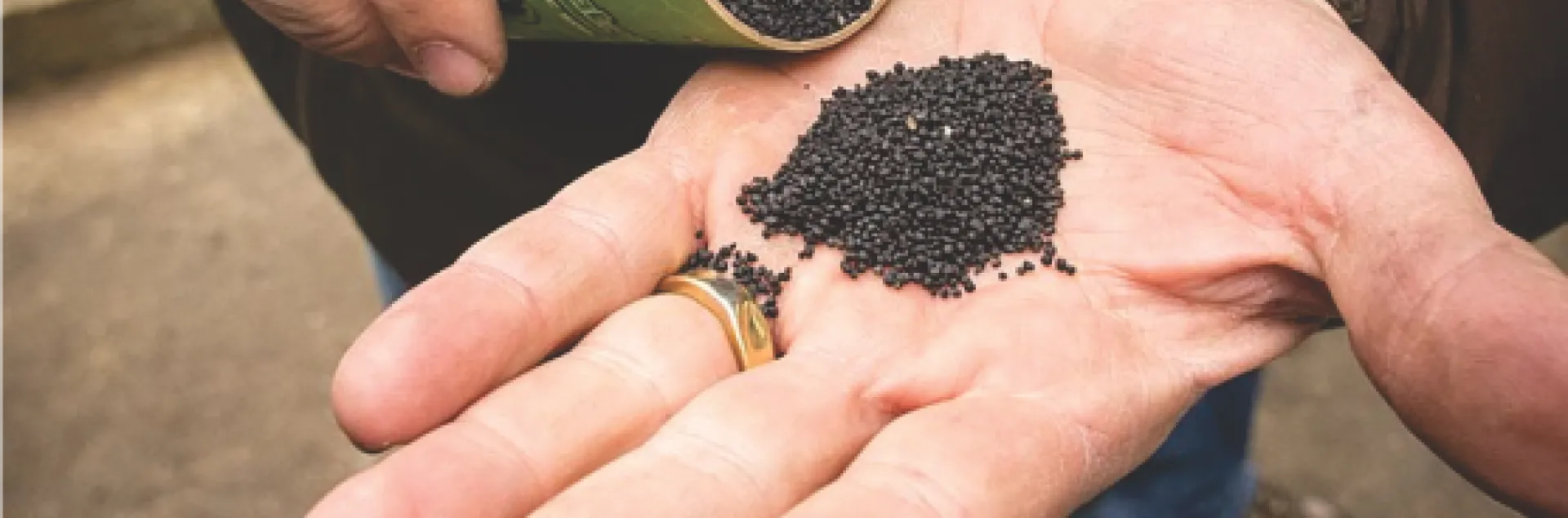 Biochar | UC Agriculture and Natural Resources