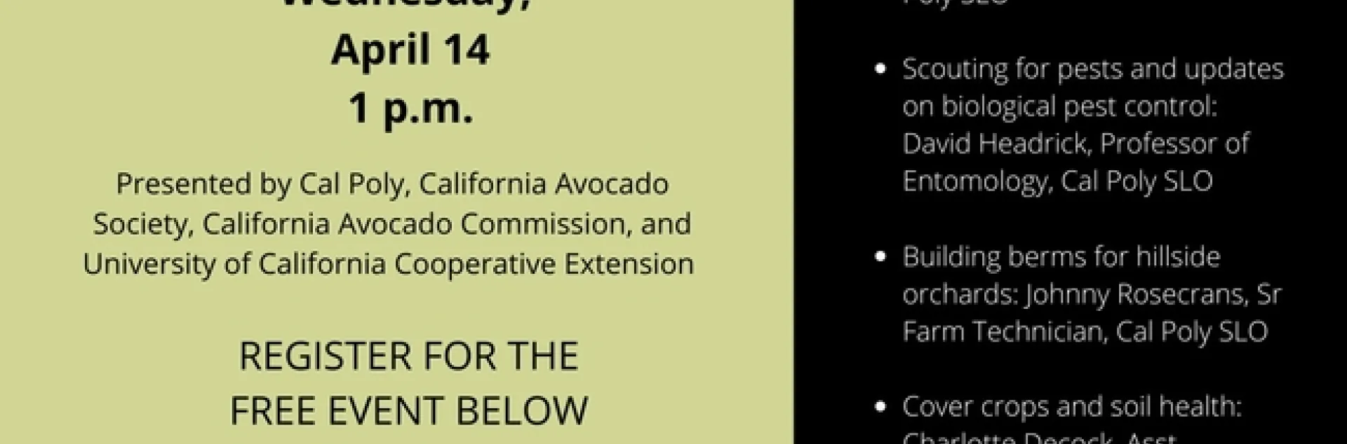 Learning Avocados | UC Agriculture and Natural Resources