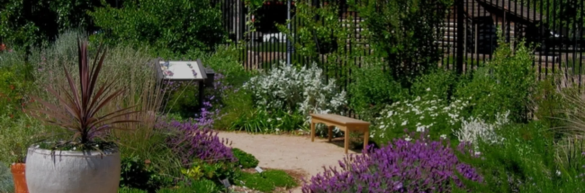 Water-Wise Class this Tuesday | UC Agriculture and Natural Resources