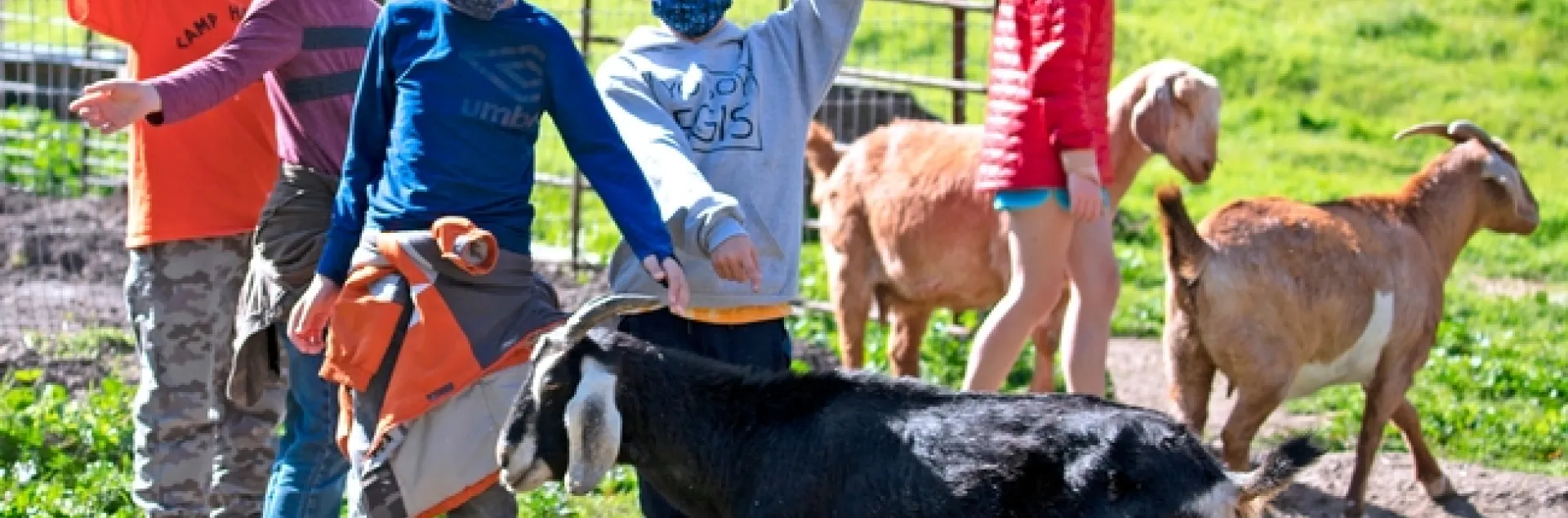‘I wish this was my school’: Young students get hands-on at Elkus Ranch ...