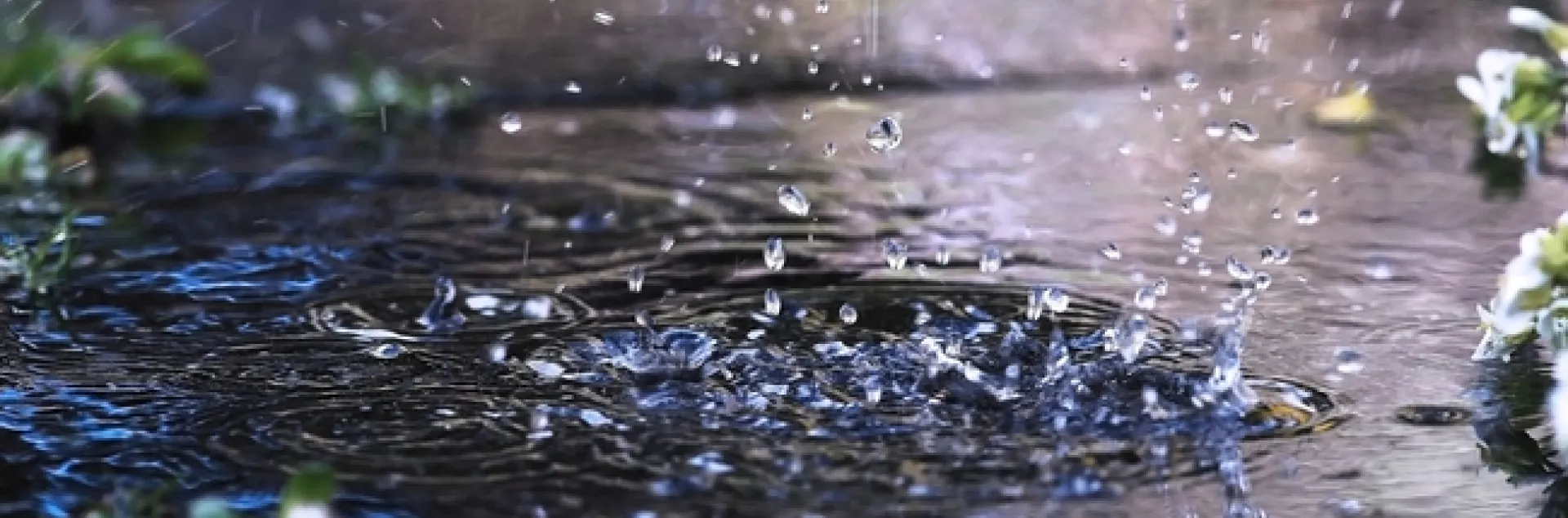 Rainfall On Your Property. | UC Agriculture and Natural Resources