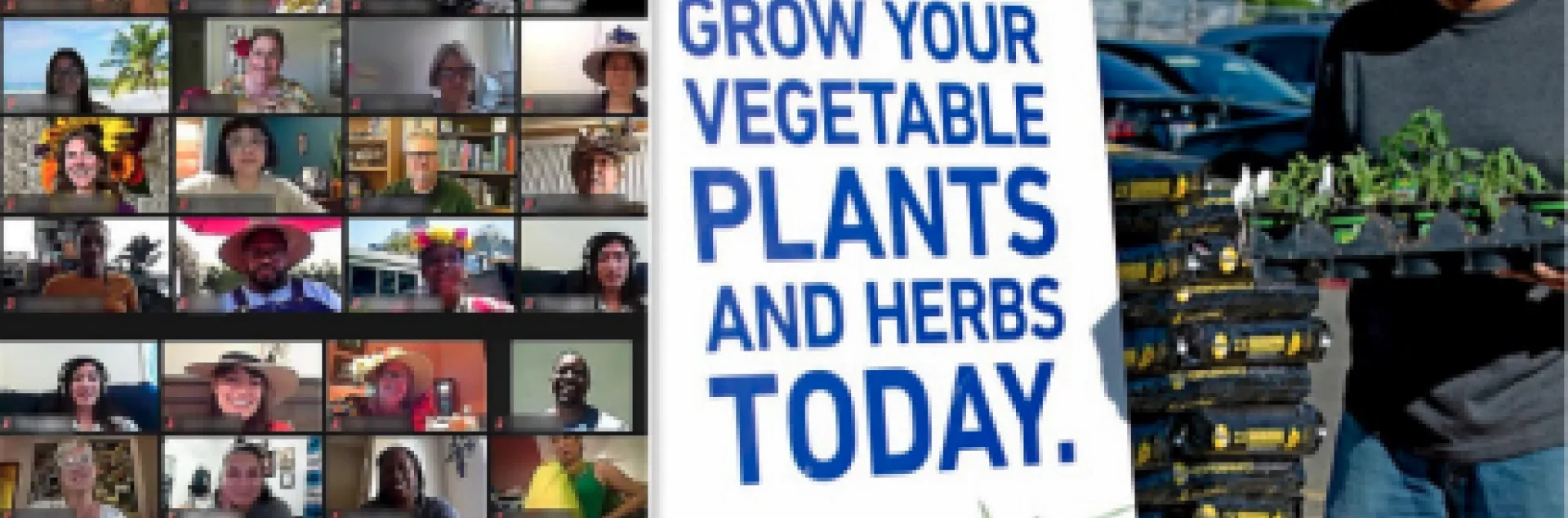 Mid-Year Strategic Plan Accomplishments Report posted | UC Agriculture ...