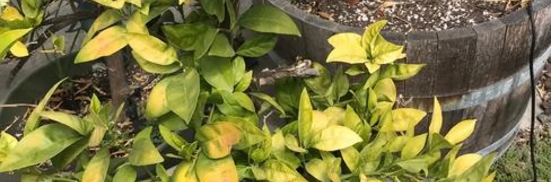 A Heated Discussion | UC Agriculture and Natural Resources