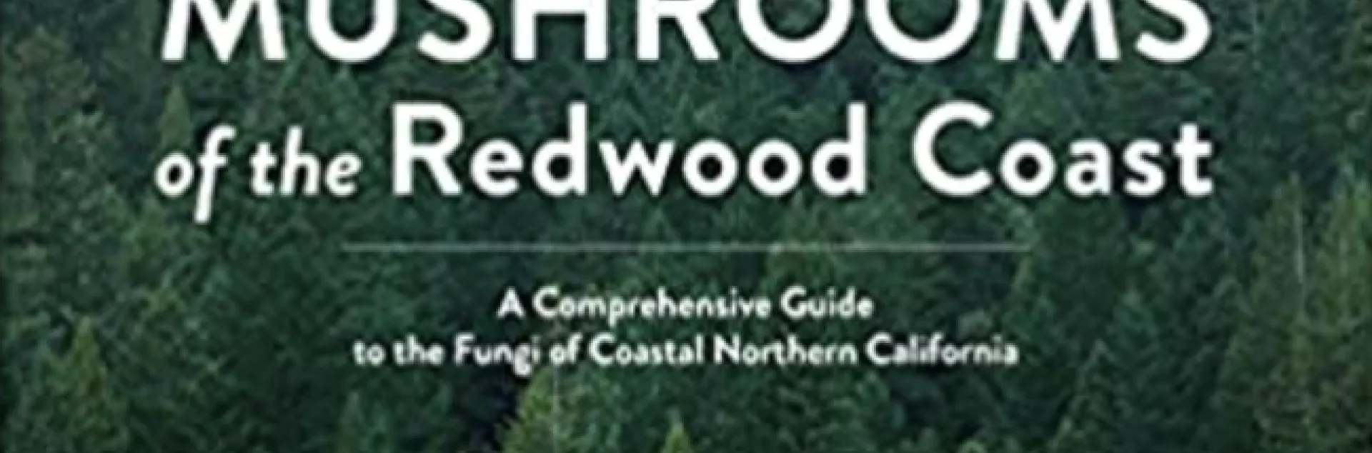 Mushroom hunting- foraging with a fun(gi) | UC Agriculture and Natural ...