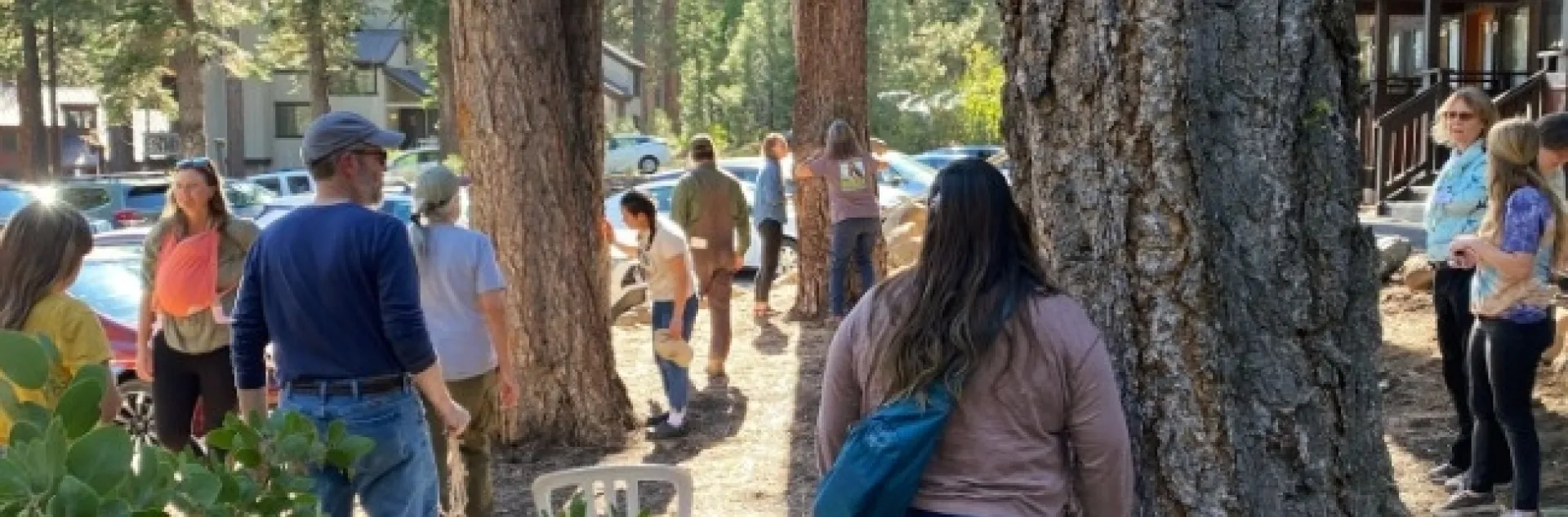 Project Learning Tree: Shaping the Future of California Forests | UC ...