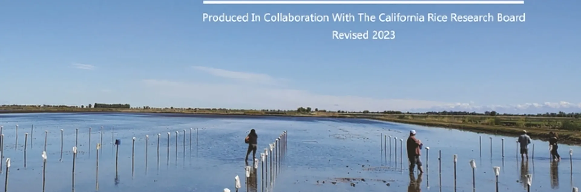 2023 Rice Production Manual available for download | UC Rice Blog