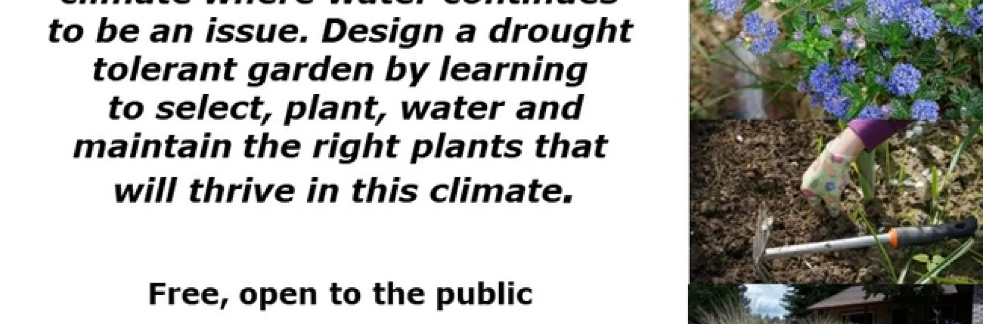 Calling All Gardeners: Learn the Secrets to Successful Drought-Tolerant Gardening! | UC ...