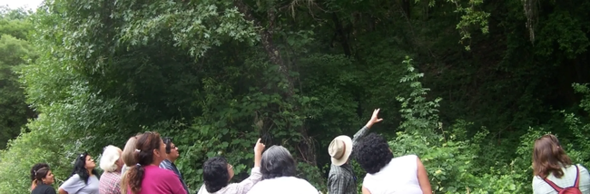 Investigadores del REC de Hopland fomentan relaciones con grupo ...