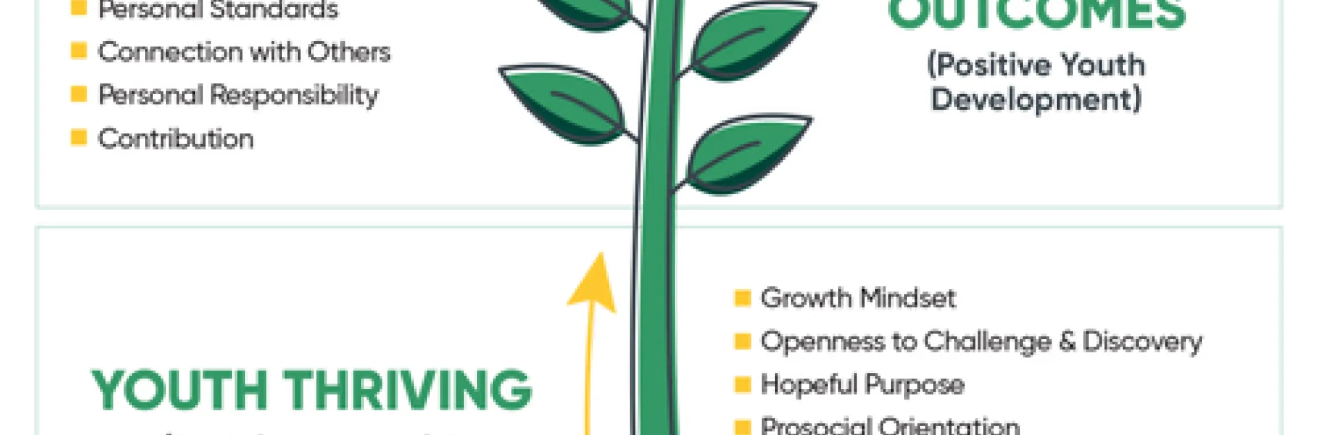 4-H Thriving Model for Positive Youth Development | UC Agriculture and ...