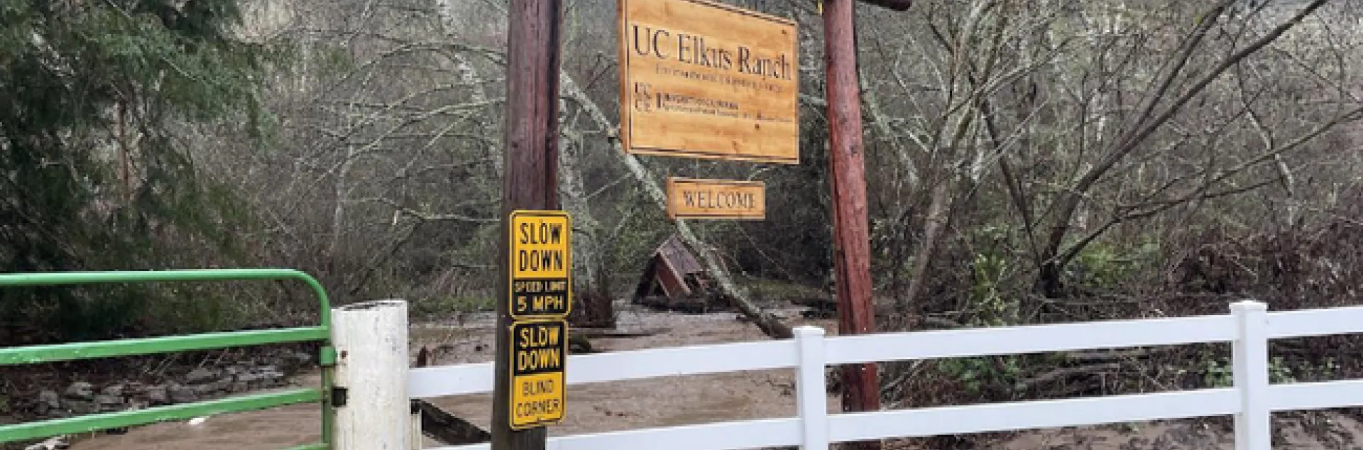 Elkus Ranch reopens with new bridge | ANR Employee News