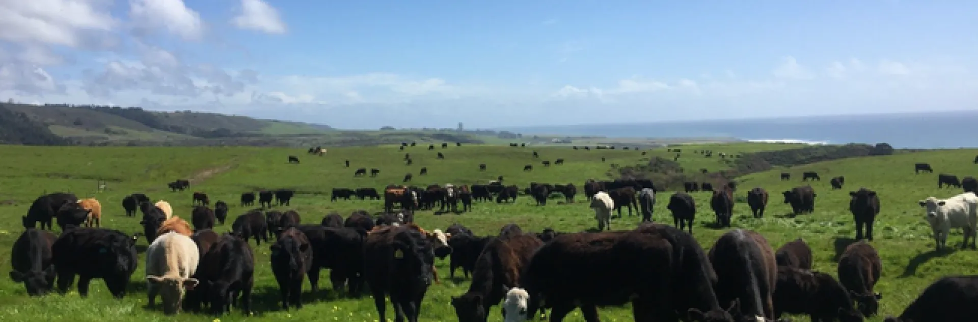 Ranch Field Tour, Swanton Pacific Ranch | UC Agriculture and Natural ...