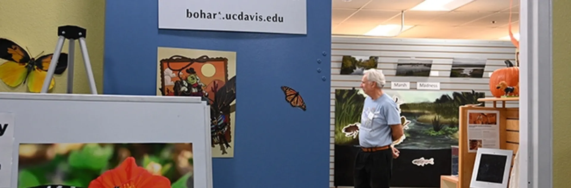 Bohart Museum Open House: A Monarch State of Mind | UC Agriculture and ...