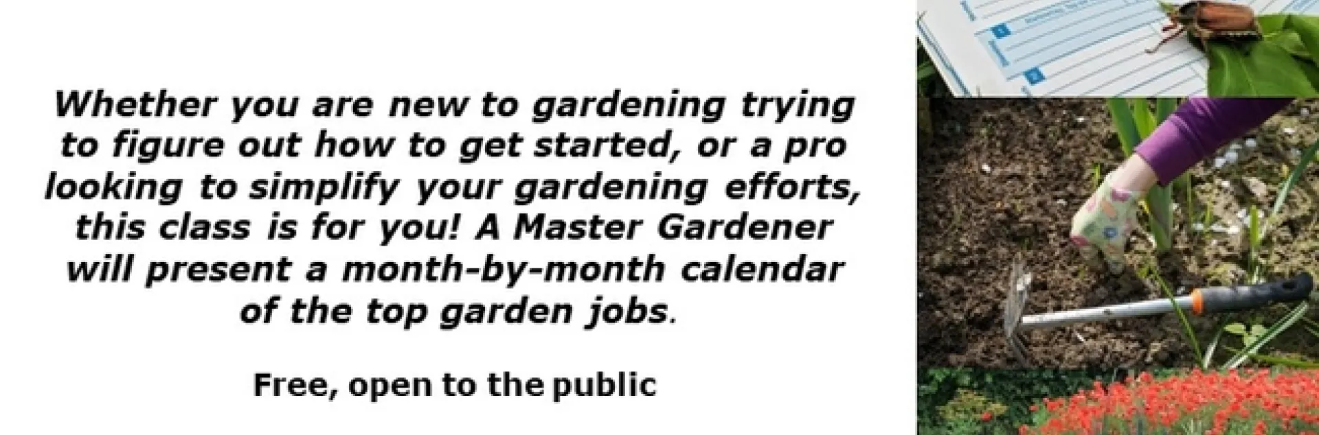 Timing is Everything: Dive into a Zoom Workshop with a Master Gardener | UC Agriculture and ...
